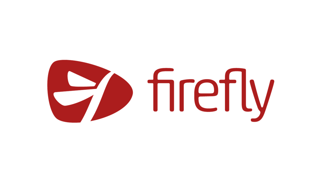 Firefly Learning Case Study